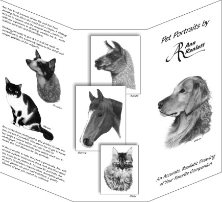 Pet Portrait Brochure